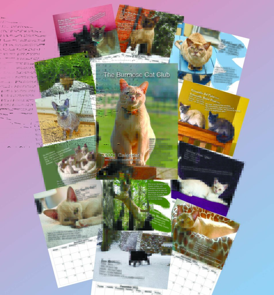 2021 Ad - Burmese Cat Club